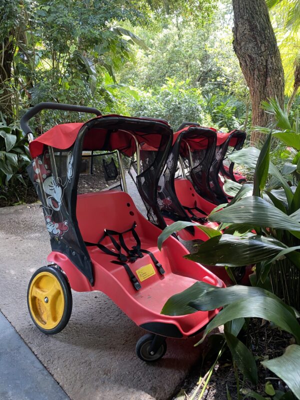 Everything you Need to Know About Strollers at Disney World